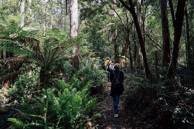 Full-Day Guided Bruny Island Tour from Hobart - The Sum Up: Who Should Consider This Tour?