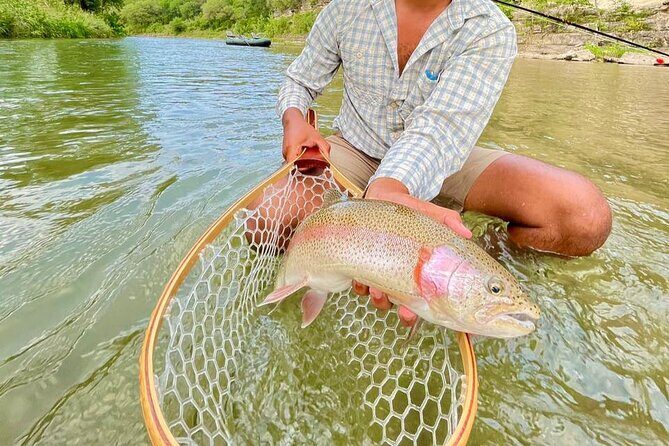 Full Day Guided Fishing Tour in Canyon Lake - Analyzing the Value