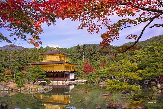Full Day Guided Kyoto Cultural Tour - Key Points