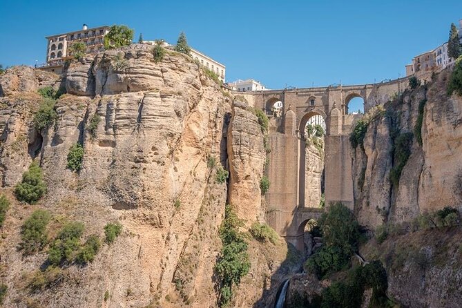 Full Day Guided Malaga Ronda Day Tour - Insights From Traveler Reviews and Experiences