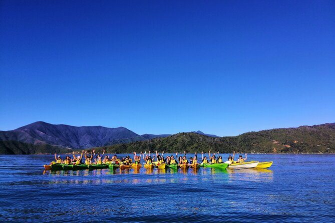 Full day Guided Sea Kayak Tour from Picton - The Value of the Full-Day Kayak Experience