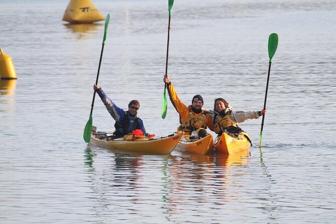 Full day Guided Sea Kayak Tour from Picton - FAQs