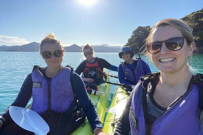 Full-Day Guided Sea Kayak Trip from Picton - Discovering the Beauty of Queen Charlotte Sound by Kayak