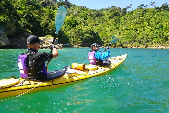 Full-Day Guided Sea Kayak Trip from Picton - Who Will Love This Tour?