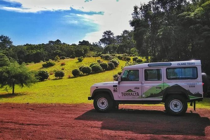 Full-Day Guided Tour in Pico Island - Traveler Experiences