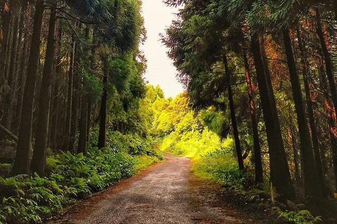 Full-Day Guided Tour in Pico Island - Cancellation and Booking Information