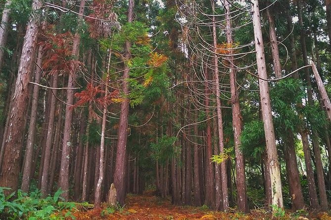 Full-Day Guided Tour in Pico Island - Discovering Local Cuisine