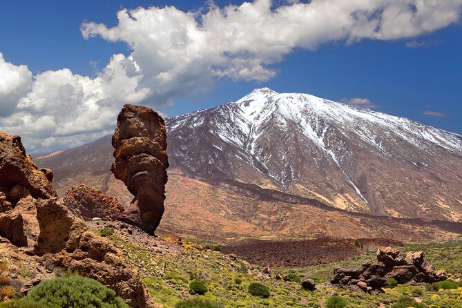 Full Day Guided Tour of Teide by Cabrio Bus - Scenic Highlights of the Tour