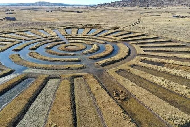 Full Day Guided Tour of the Aymara Route From Puno - Key Points
