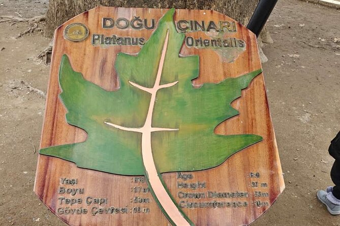 Full Day Guided Tour to Bursa and Uludag - An In-Depth Look at the Full-Day Bursa and Uludag Tour