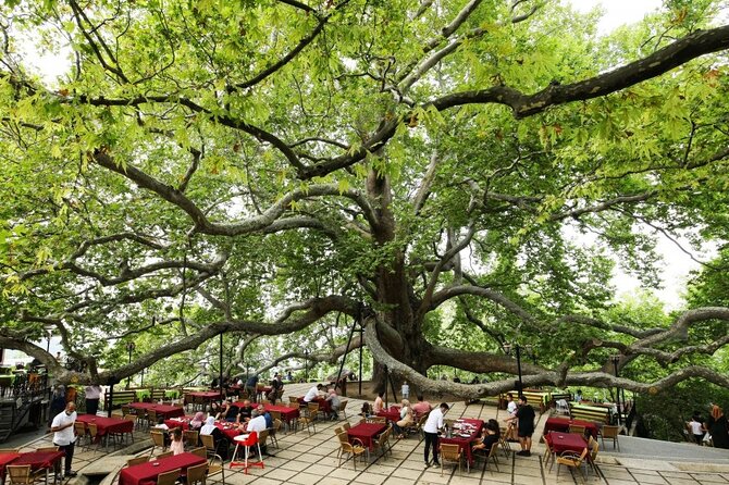 Full Day Guided Tour to Bursa With Lunch and Cable Car - Meeting and Pickup