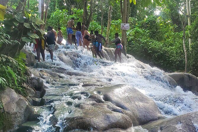 Full-Day Guided Tour to Dunns River Falls & shopping with lunch - Authenticity and Family-Friendly Appeal