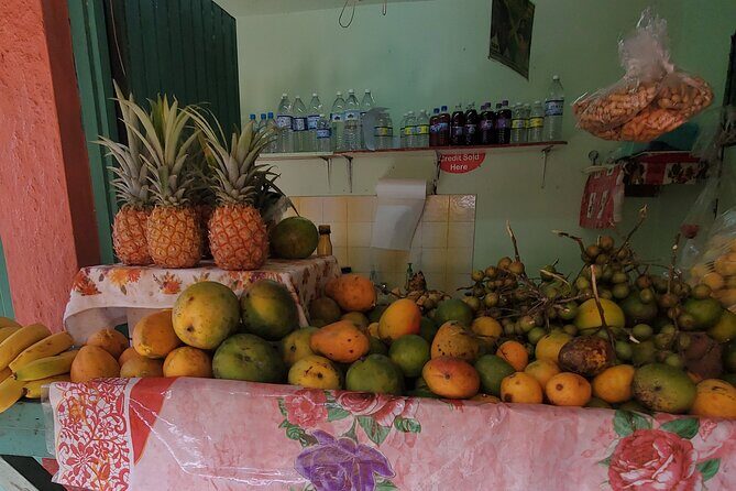 Full-Day Guided Tour to Dunns River Falls & shopping with lunch - Practical Tips for Your Day