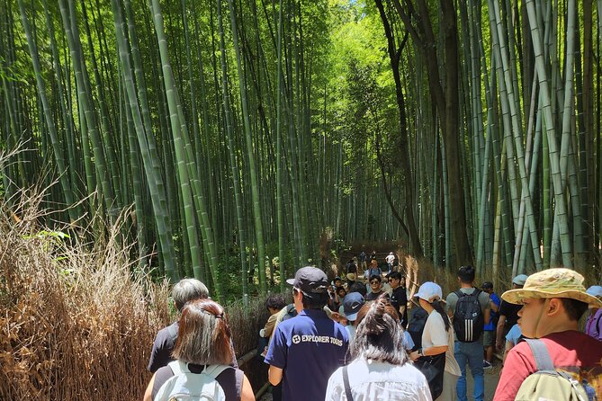 Full Day Guided Tour to Kyoto Arashiyama From Osaka by Van - Accessibility and Participation