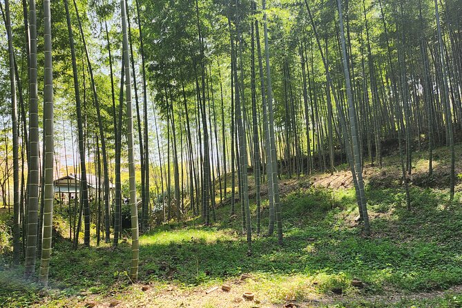 Full Day Guided Tour to Kyoto Arashiyama From Osaka by Van - Common Questions