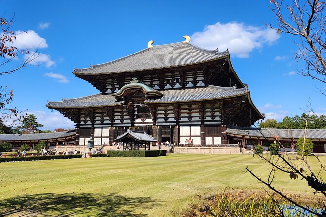Full Day Guided Tour to Nara From Osaka by Van - Accessibility and Participation