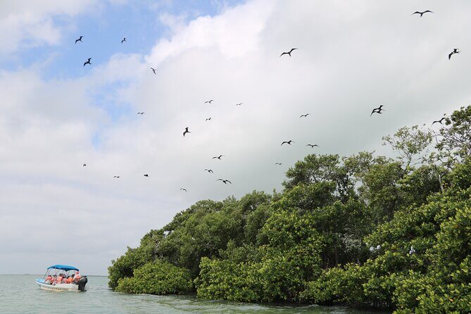 Full Day Guided Tour to Sian Ka'an (short way) - Final Thoughts: Is This Tour for You?