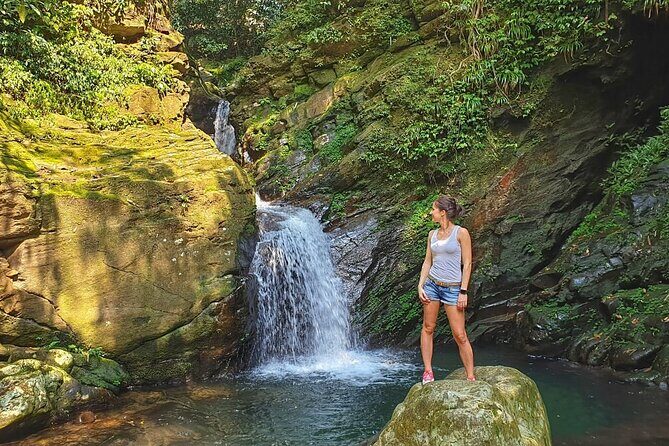 Full-Day Guided Trekking Tour in Bach Ma National Park Vietnam - The Sum Up