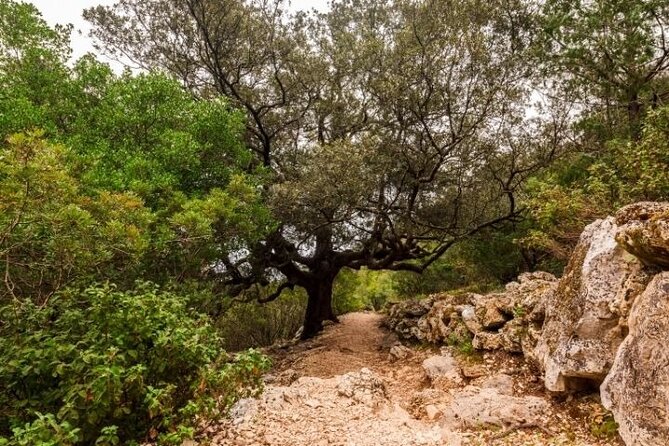 Full Day Guided Trekking Tour To Cala Goloritzè - FAQ