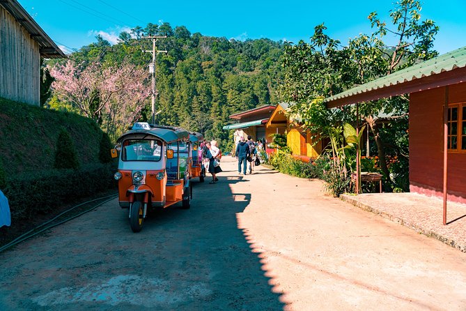 Full-Day Guided Tuk Tuk Chiang Mai Adventure and Rafting - The Sum Up