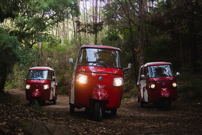 Full-Day Guided Tuk-Tuk Tour in Sintra - FAQs