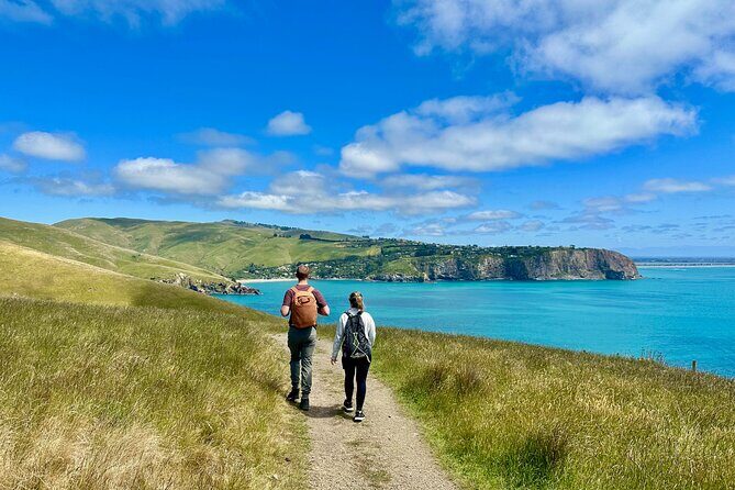 Full Day Guided Walking Tour and Picnic around Godley Head - Key Points
