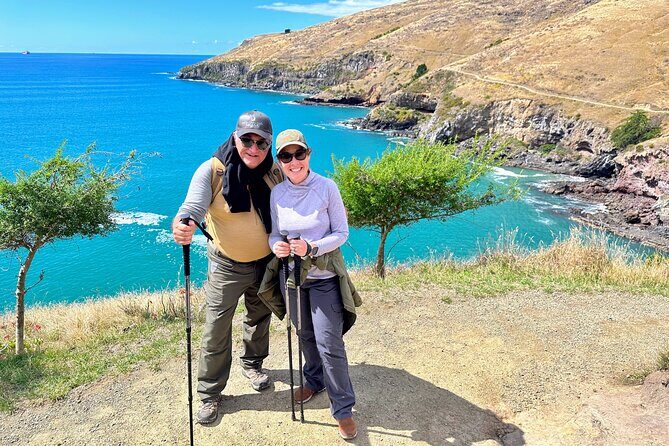 Full Day Guided Walking Tour and Picnic around Godley Head - A Detailed Look at the Full Day Experience