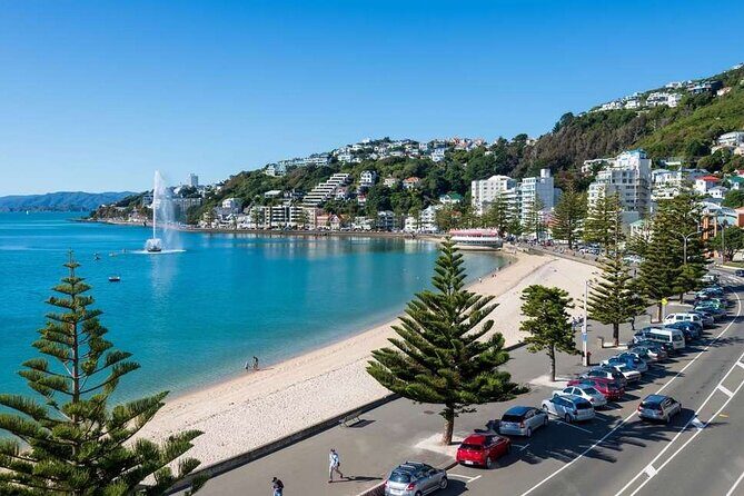 Full Day Guided Wellington Tour including Cable Car - Key Points