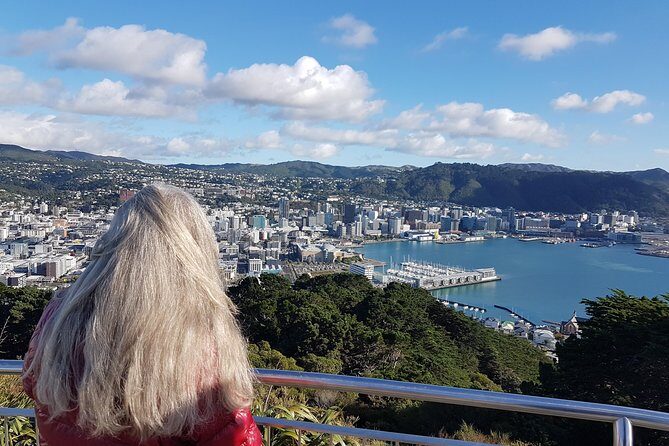 Full Day Guided Wellington Tour including Cable Car - Wrapping It Up