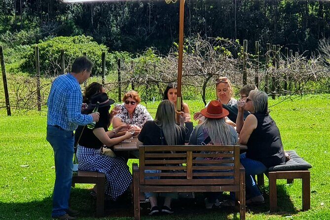Full Day Guided Wine Tour in Mt Tamborine From Brisbane - What to Expect from the Full Day Itinerary