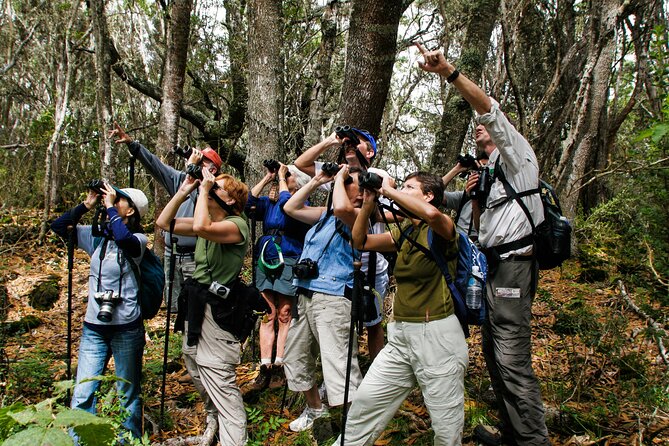 Full-Day Hakalau Forest Reserve Bird Watching Adventure - Key Points