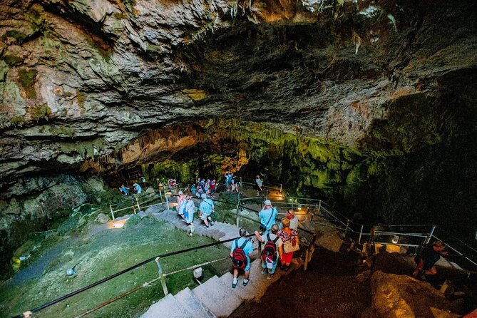 Full-Day/Half-Day Tour : Lasithi Plateau & Knossos Palace - The Sum Up