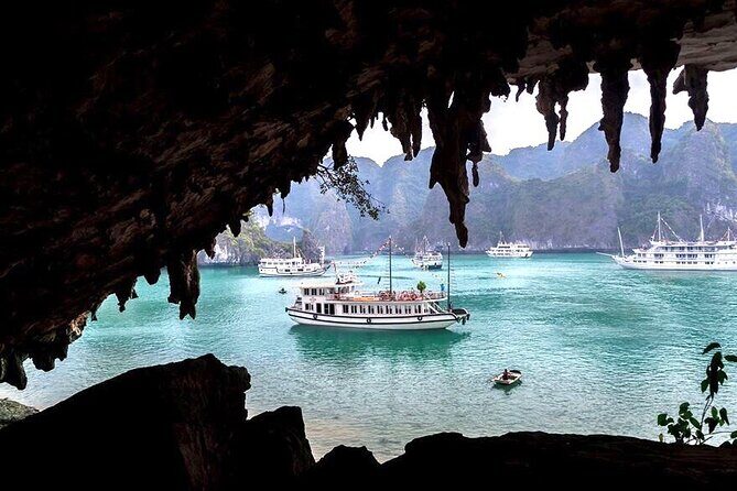 Full-Day Halong Bay Standard Cruise Tour : Lunch, Cave and Island - Who Should Consider This Tour?
