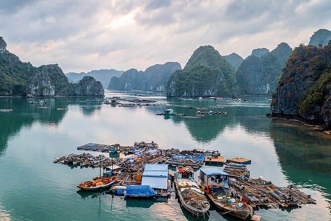 Full Day Halong Bay Tour From Hanoi - Who Will Love This Tour?