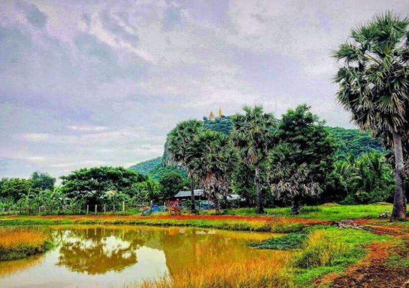 Full-day: Handicraft, Bamboo train, Killing cave, Bat Cave - Who Should Consider This Tour?