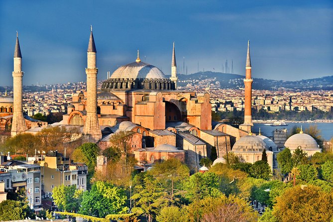 Full Day Highlights of Istanbul Old City Incl Lunch & Tickets - Tour Experience and Feedback