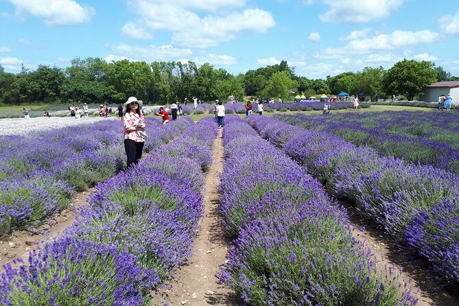 Full-Day Highlights of Prince Edward County Private Tour - The Itinerary Breakdown: A Day in Prince Edward County
