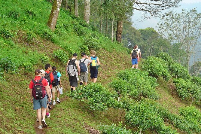 Full-Day Hike and Bike Tour from Chiang Mai - The Scenic Beauty: What You’ll See