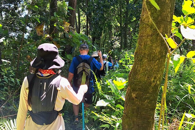 Full-Day Hike and Bike Tour from Chiang Mai - Practical Details and What to Wear