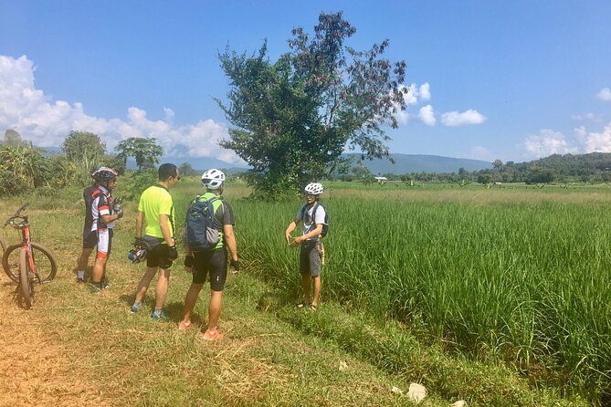 Full-Day Hike and Bike Tour from Chiang Mai - Who Should Consider This Tour?