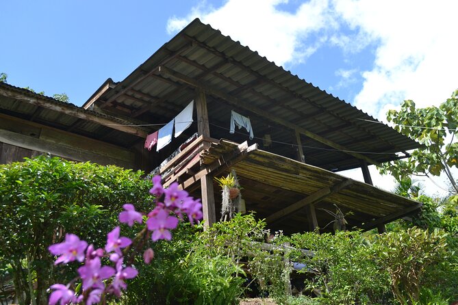 Full-Day Hike and Bike Tour from Chiang Mai - Final Thoughts on Value and Experience