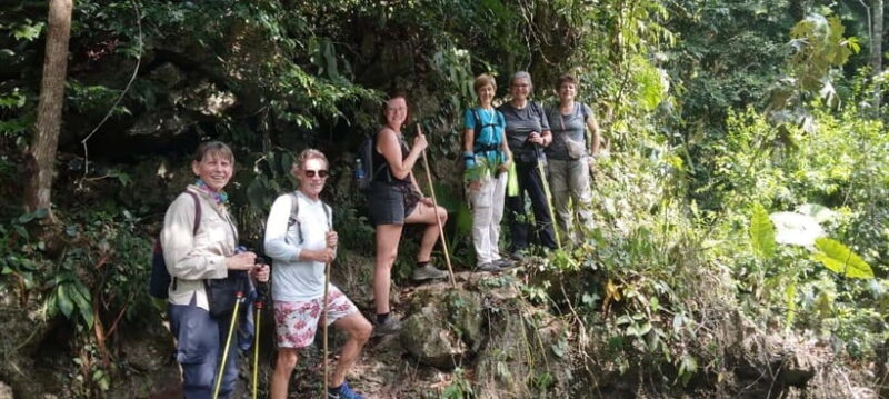 Full day hike - climbing in Jungle of Cat Ba National park - The Value of the Tour