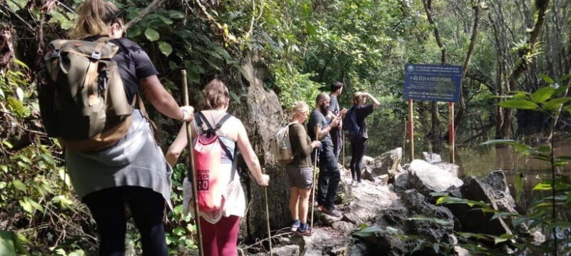 Full day hike - climbing in Jungle of Cat Ba National park - Who Should Consider This Tour?