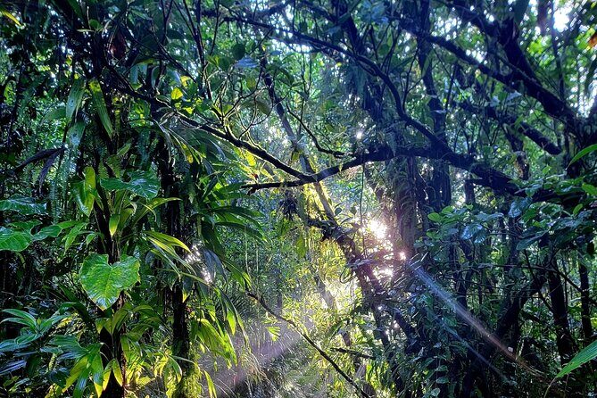Full Day Hike Tour from Dominica - The Sum Up