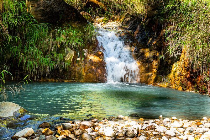 Full Day Hike Tour from Dominica - FAQs