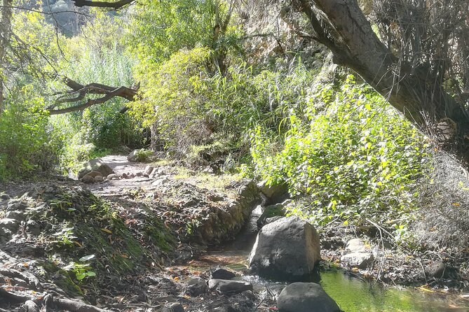 Full Day Hiking and Waterfalls Experience - Key Points