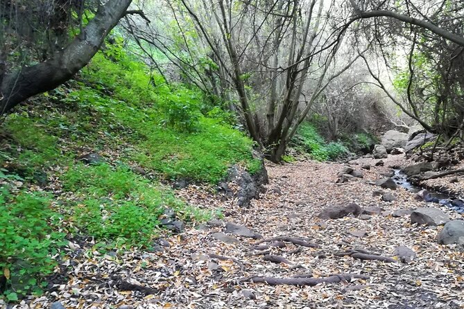 Full Day Hiking and Waterfalls Experience - Inclusions and Amenities