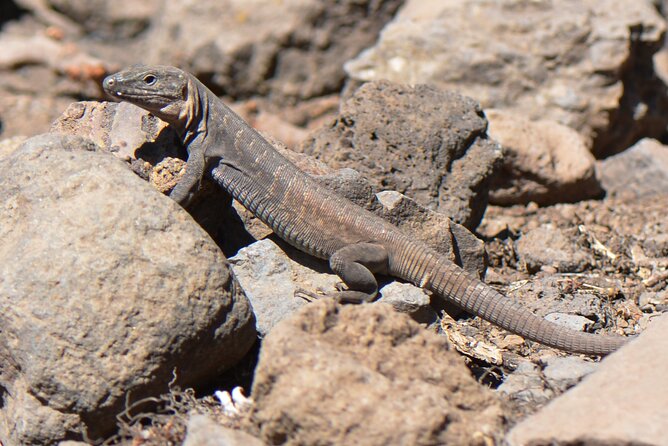 Full Day Hiking and Waterfalls Experience - Meeting and Pickup Information