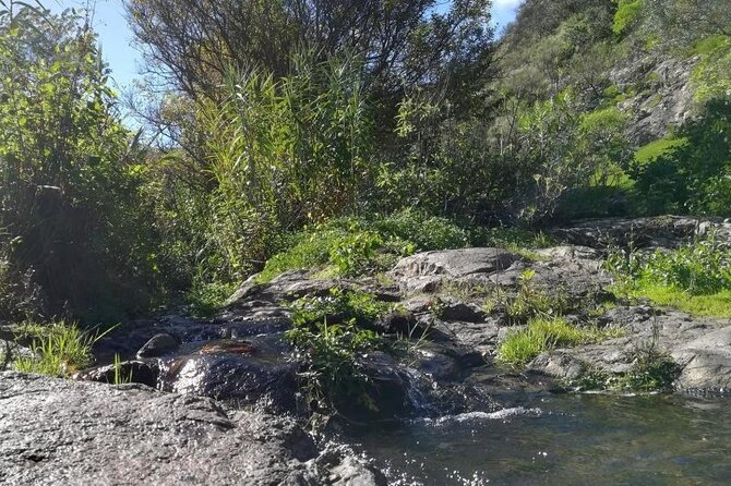 Full Day Hiking and Waterfalls Experience - What to Expect During the Hike