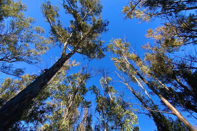 Full-day Hiking at Ruta the Aqua across Pena Cortada - FAQ